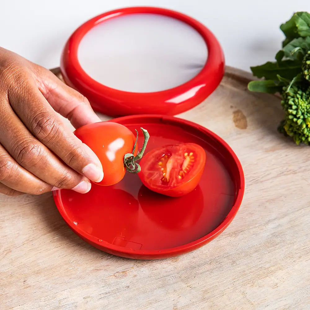 Joie MSC Fresh Stretch Tomato Pod – Tavola Italian Market
